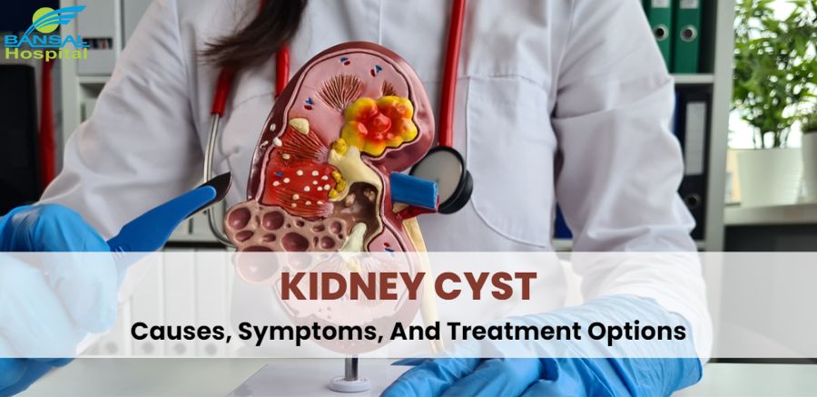 Types Of Kidney Cysts Renal Cysts Diagnosis And Treatment Polycystic